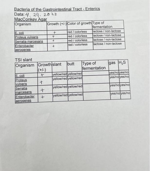 Solved Bacteria of the Gastrointestinal Tract - Enterics | Chegg.com