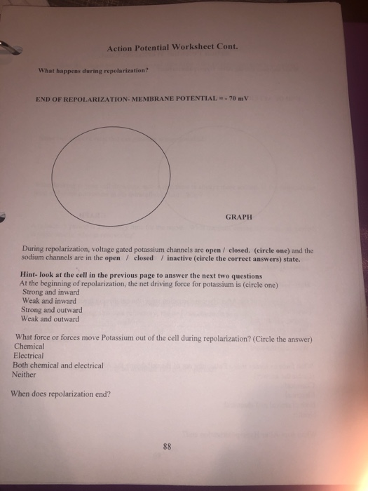 Solved Action Potential Worksheet Cont. What happens during | Chegg.com