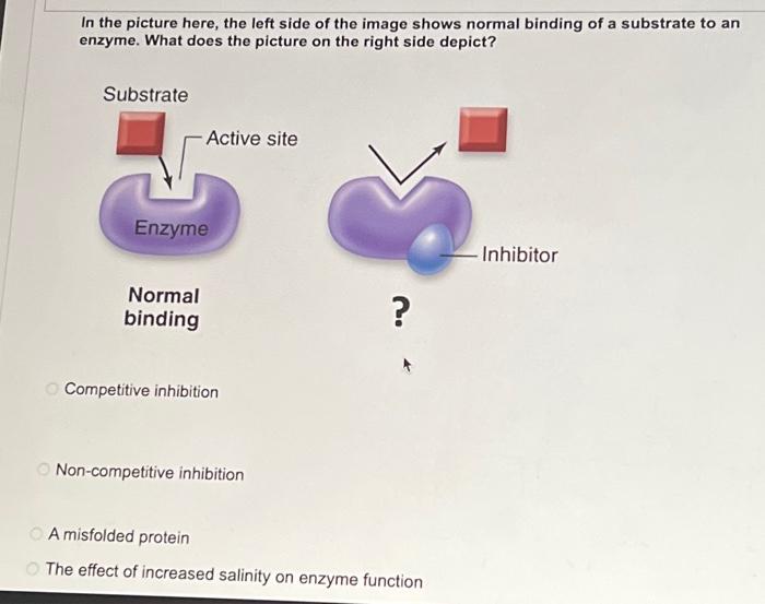 Solved In the picture here, the left side of the image shows | Chegg.com