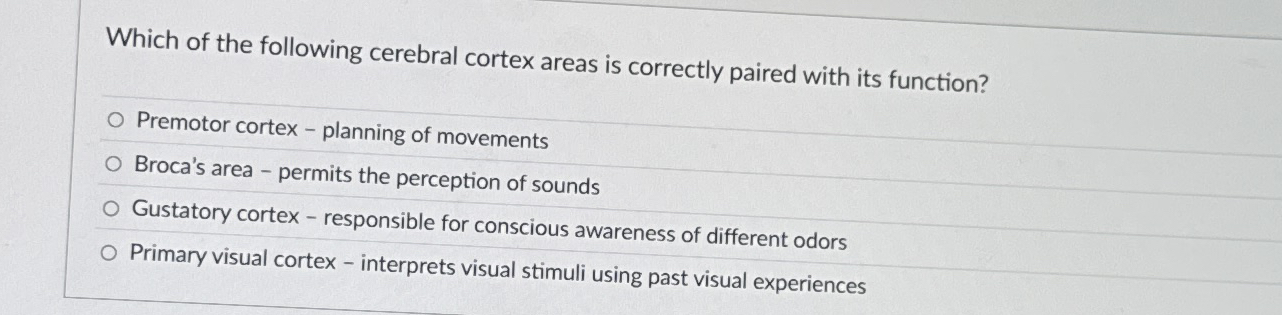Solved Which of the following cerebral cortex areas is | Chegg.com