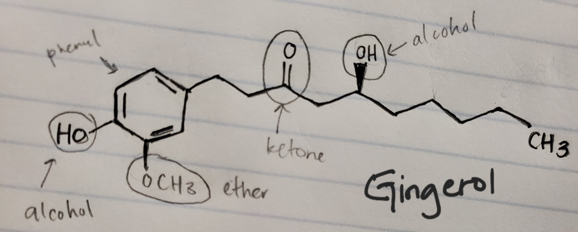 please check my work | Chegg.com