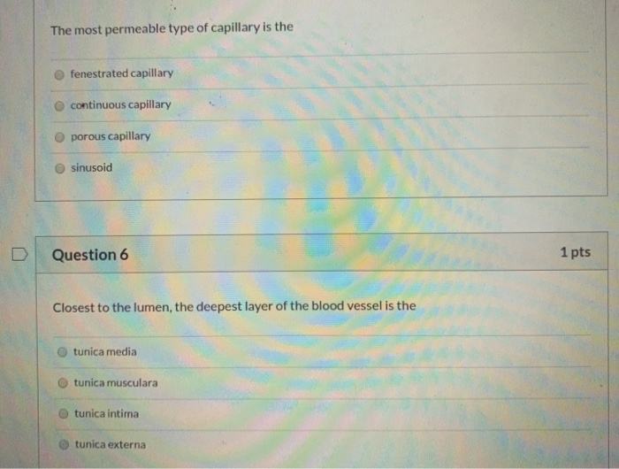 Solved The most permeable type of capillary is the | Chegg.com