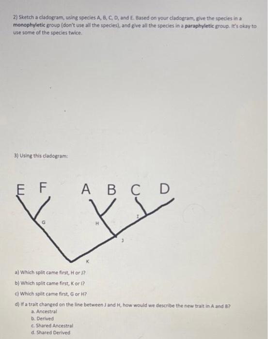 Solved 2) Sketch a cladogram, using species A, B, C, D, and | Chegg.com