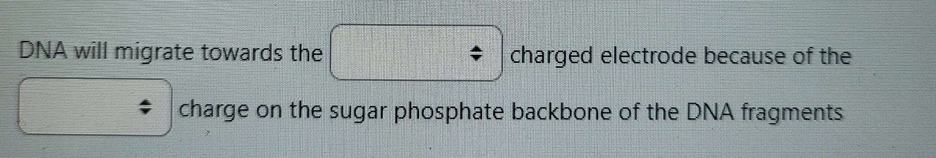 [Solved]: DNA will migrate towards the charged electrode be