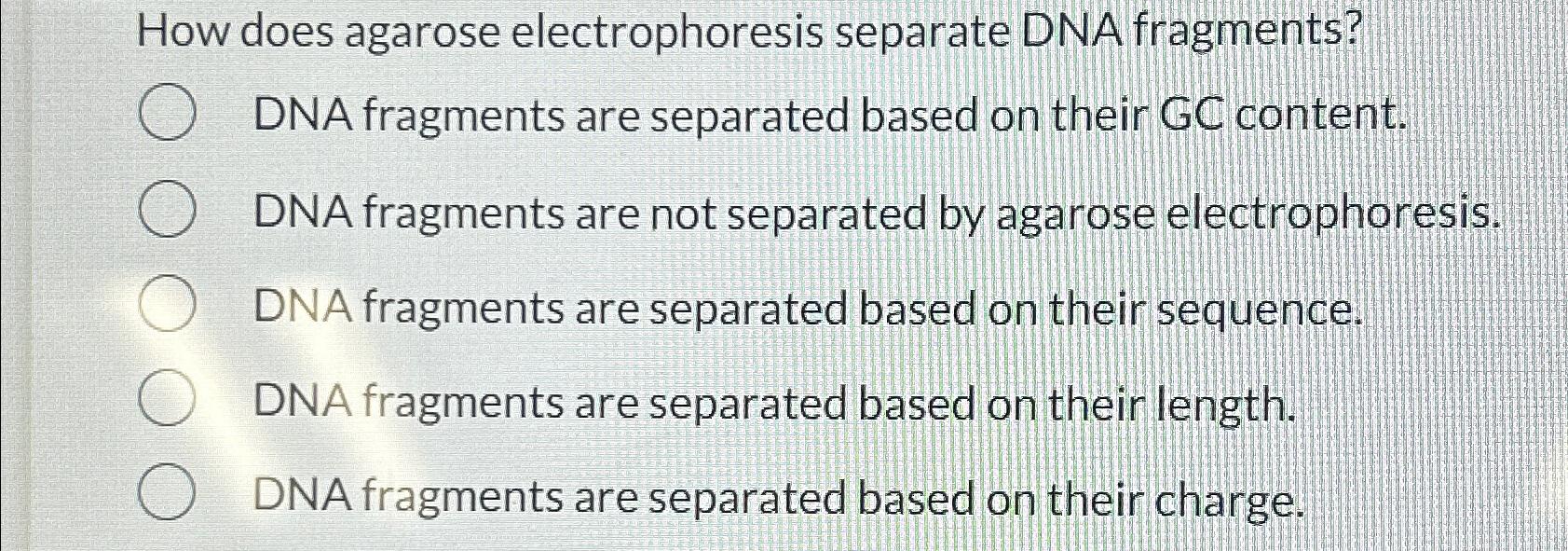 Solved How does agarose electrophoresis separate DNA | Chegg.com