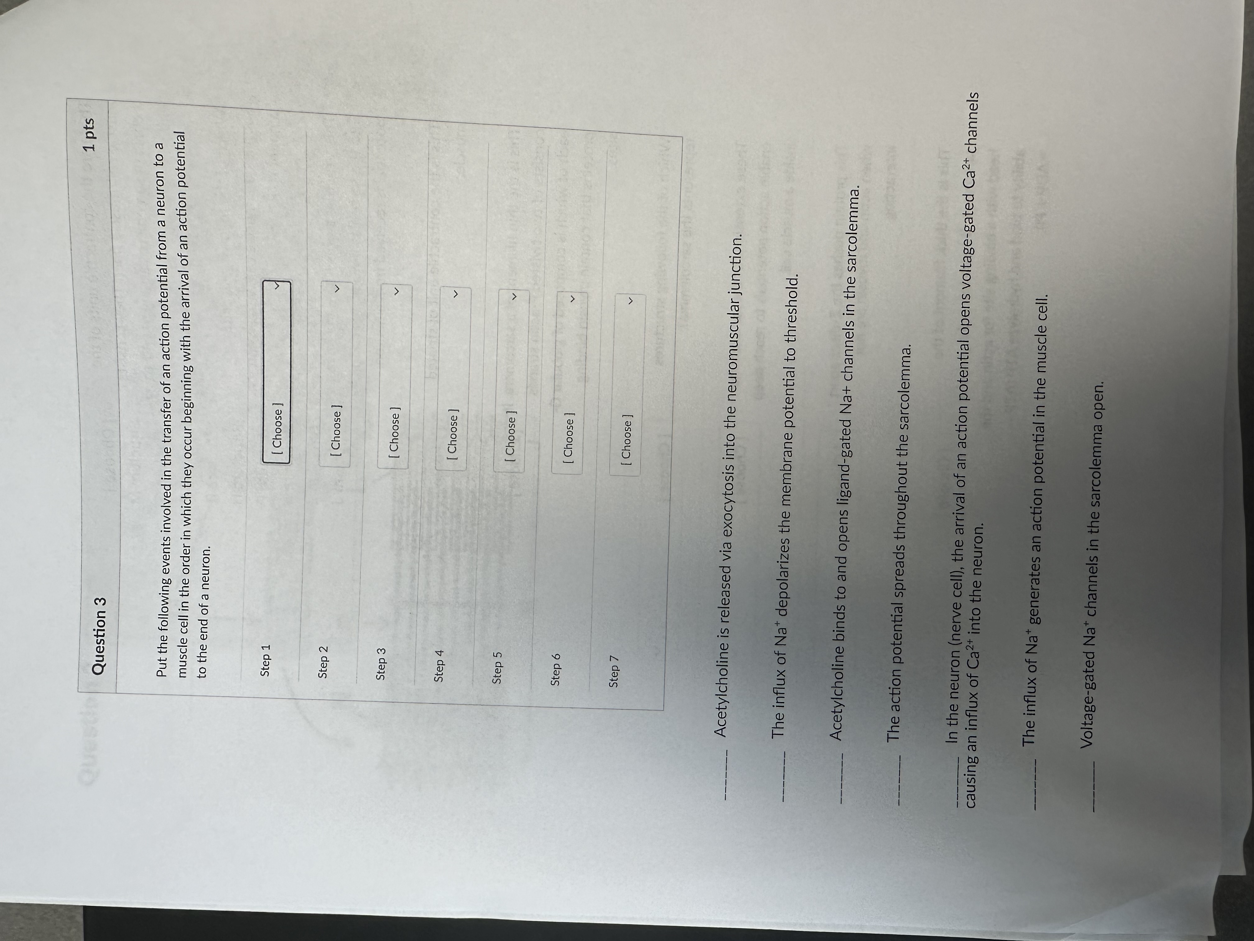 Solved Put the following events involved in the transfer of | Chegg.com