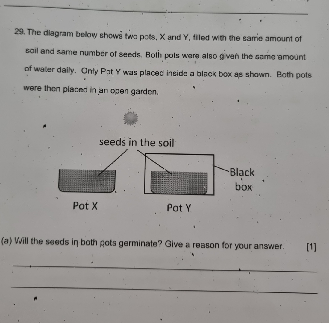 Solved The diagram below shows two pots, x ﻿and Y, ﻿filled | Chegg.com