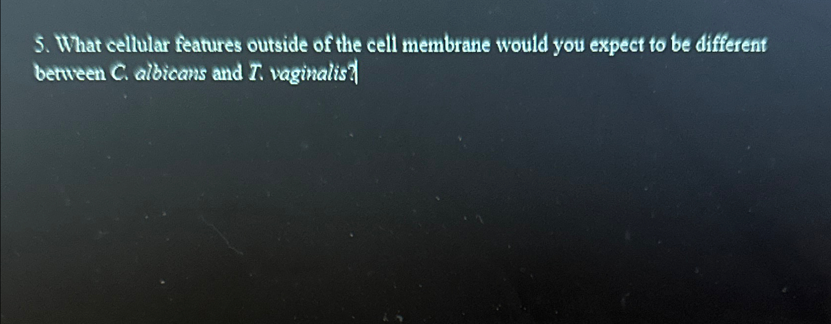 Solved What cellular features outside of the cell membrane | Chegg.com