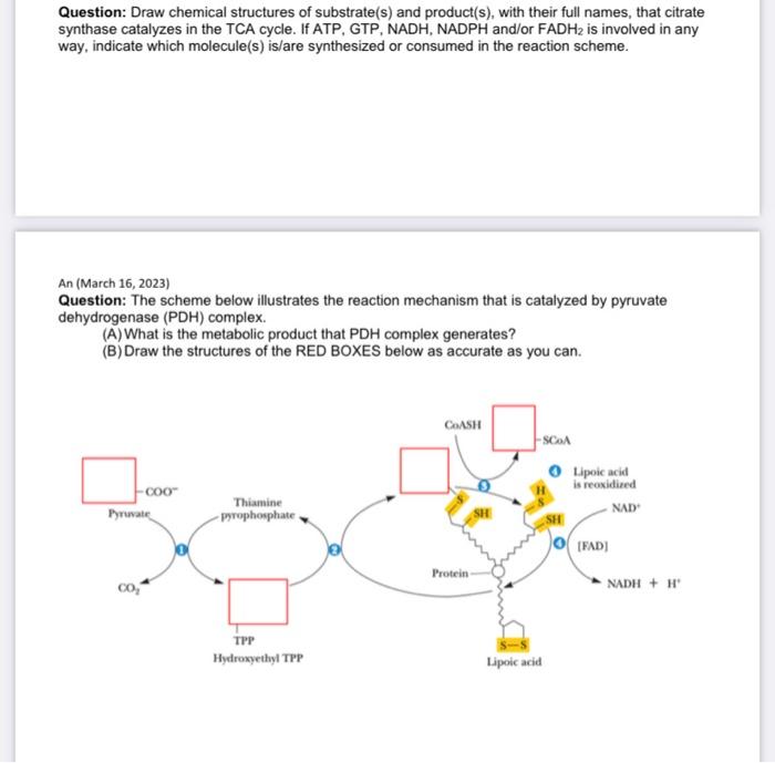 Solved Question: Draw chemical structures of substrate(s) | Chegg.com