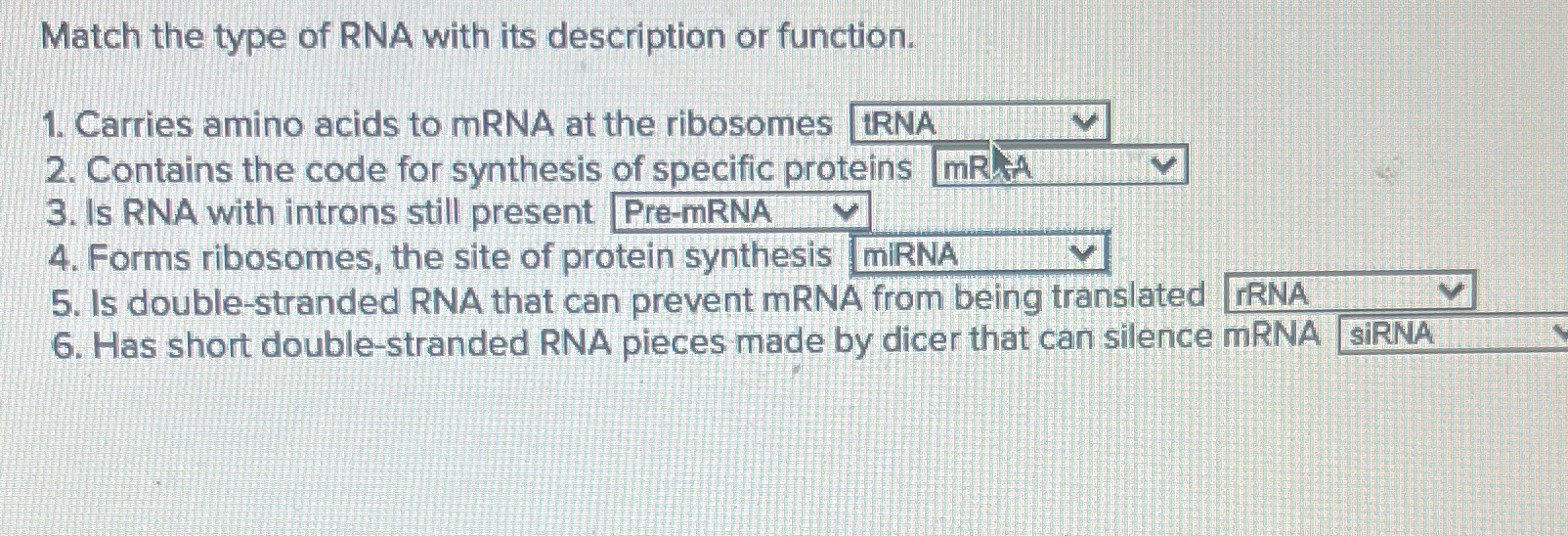 Solved Match the type of RNA with its description or | Chegg.com