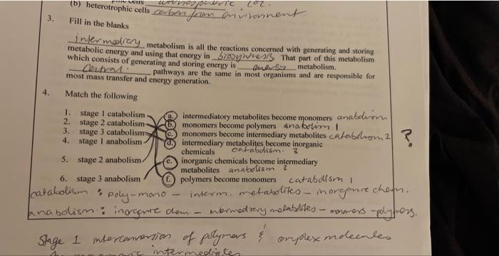 Solved 3. Fill in the blanks inter matiery metabolism is all | Chegg.com