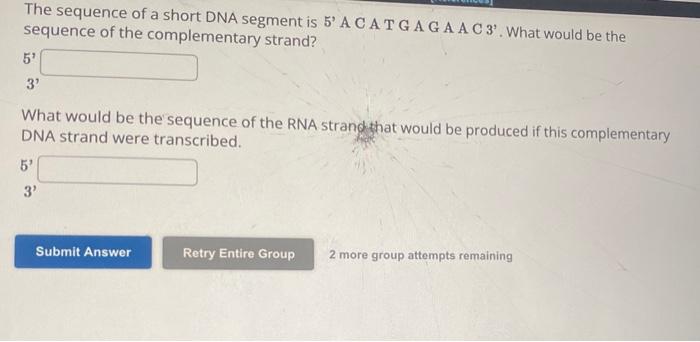 Solved The sequence of a short DNA segment is 5' A C A T G A | Chegg.com