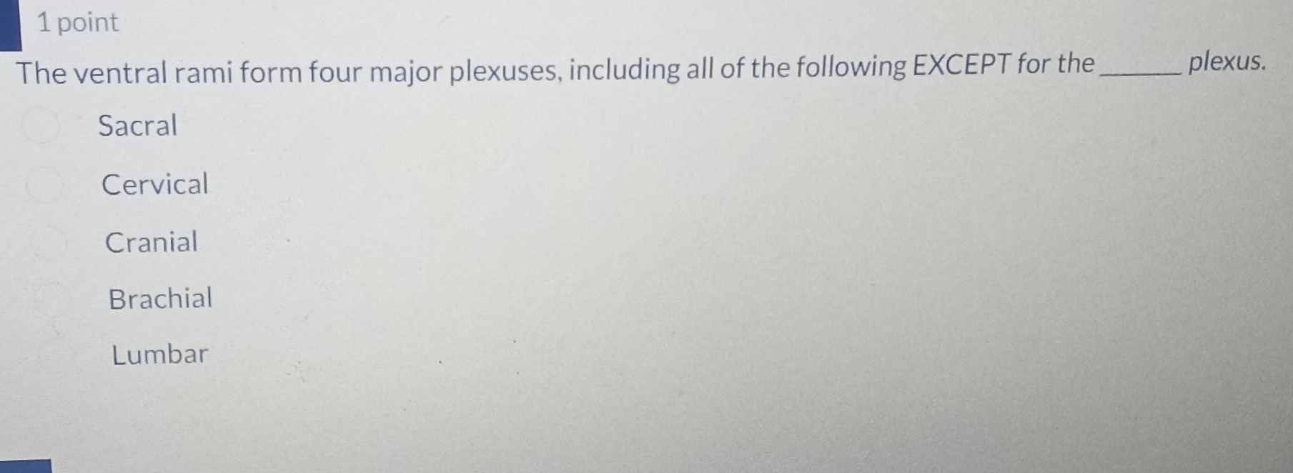 Solved 1 ﻿pointThe ventral rami form four major plexuses, | Chegg.com
