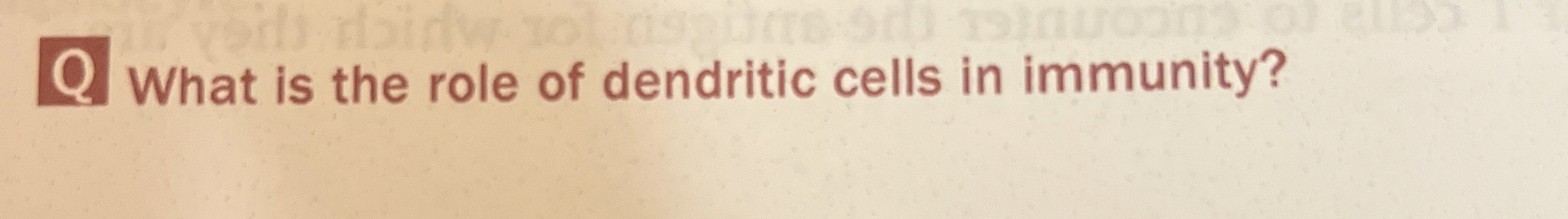 Solved Q What is the role of dendritic cells in immunity? | Chegg.com