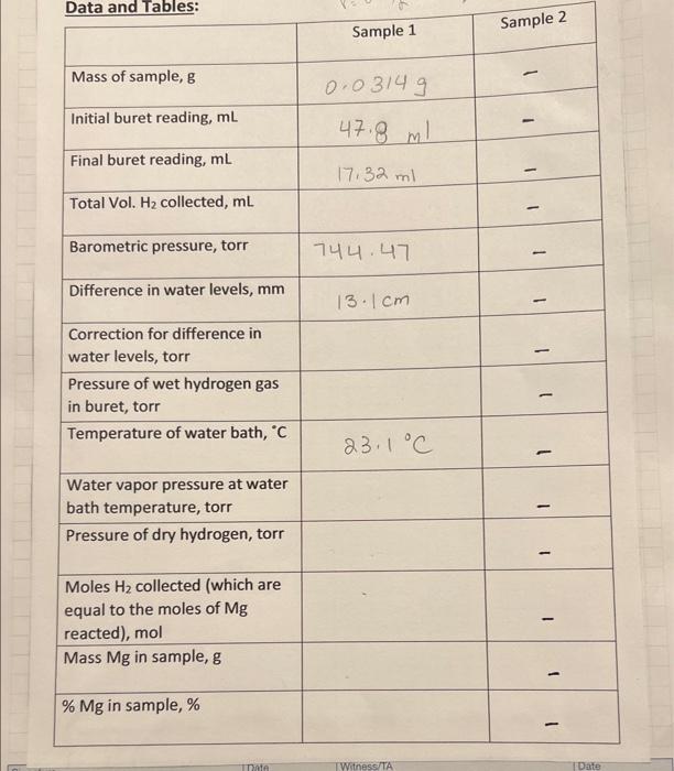 Solved lab determination of the Mass of Magnesium Metal in a | Chegg.com