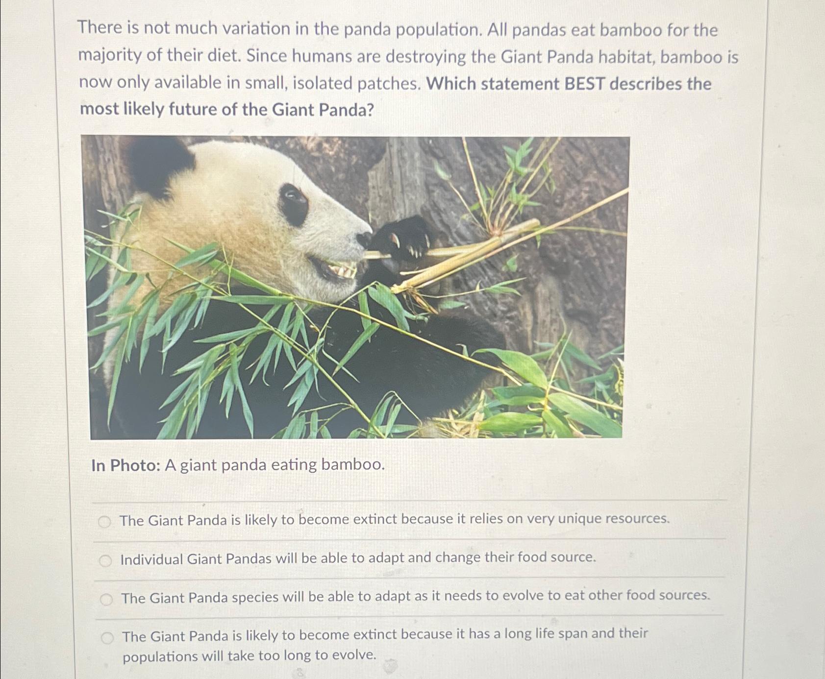 Solved There is not much variation in the panda population. | Chegg.com