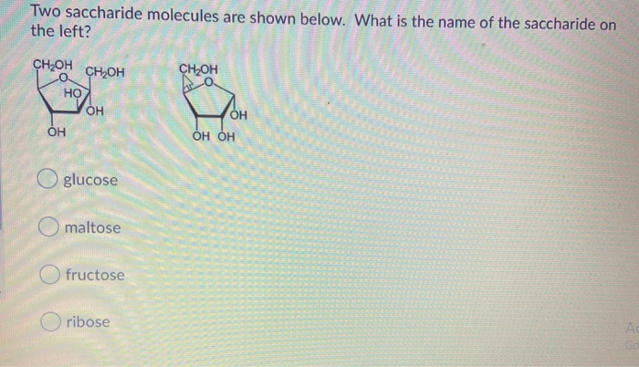 Solved Two saccharide molecules are shown below. What is the | Chegg.com