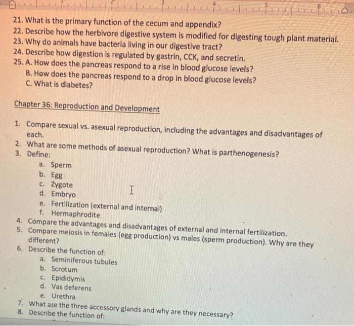 Solved 21. What is the primary function of the cecum and | Chegg.com
