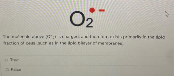 Solved The molecule above (O2−)is charged, and therefore | Chegg.com