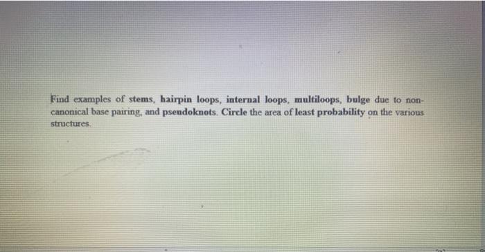 Solved Find examples of stems, hairpin loops, internal | Chegg.com
