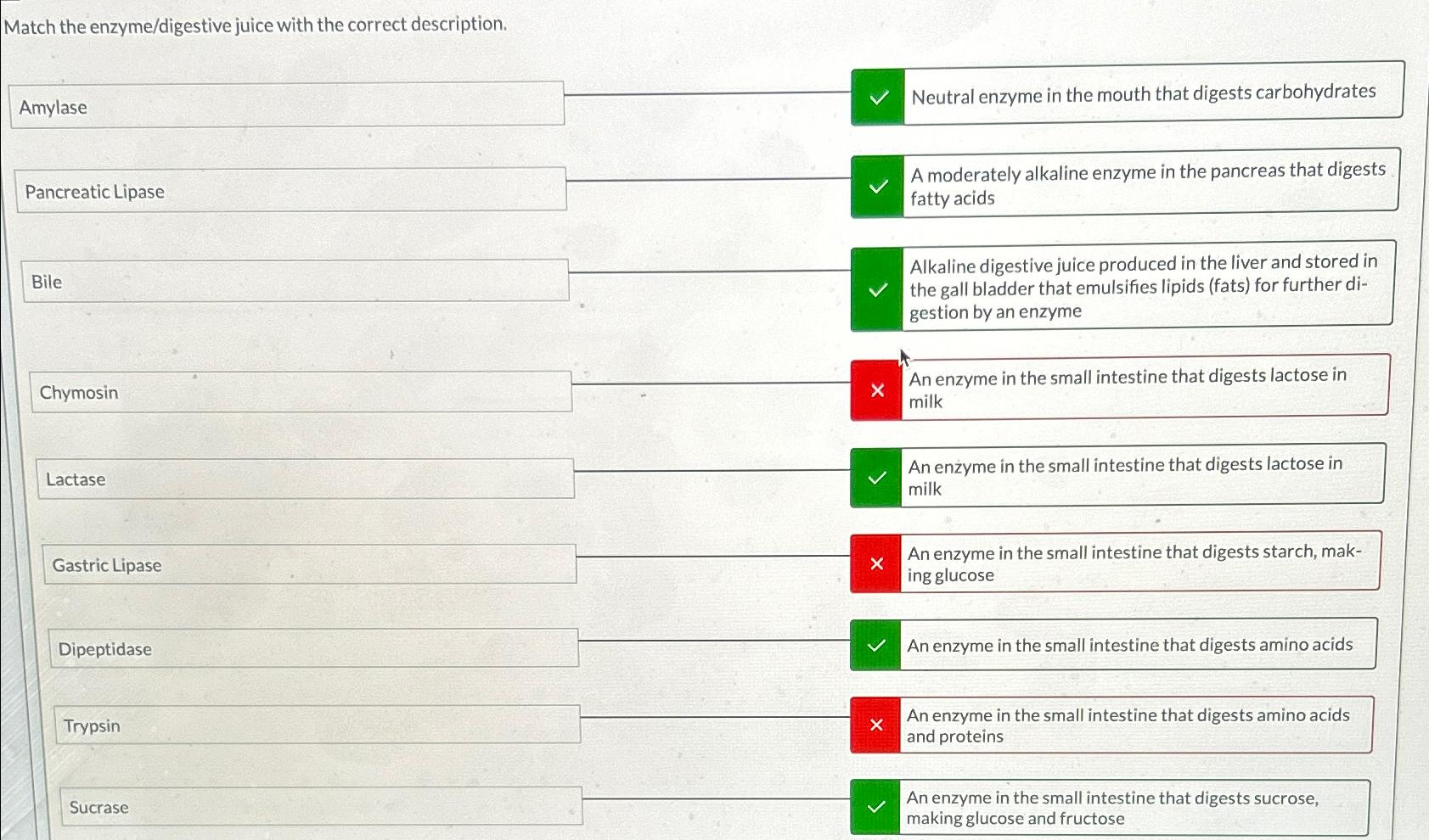 Solved Match the enzyme/digestive juice with the correct | Chegg.com