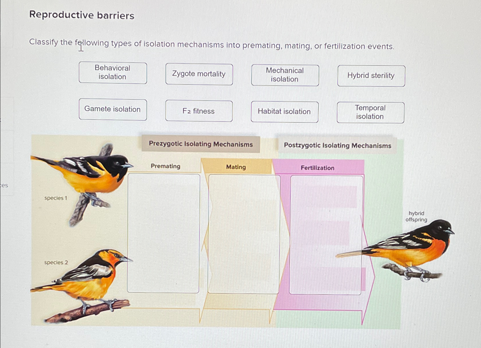 Solved Reproductive barriersClassify the forlowing types of | Chegg.com
