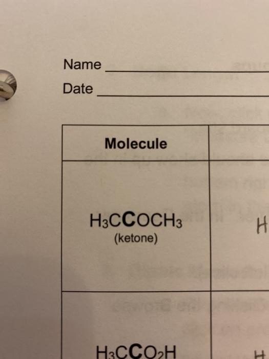 Solved Name Date Molecule H3CCOCH3 (ketone) H. H3CCOOH H | Chegg.com