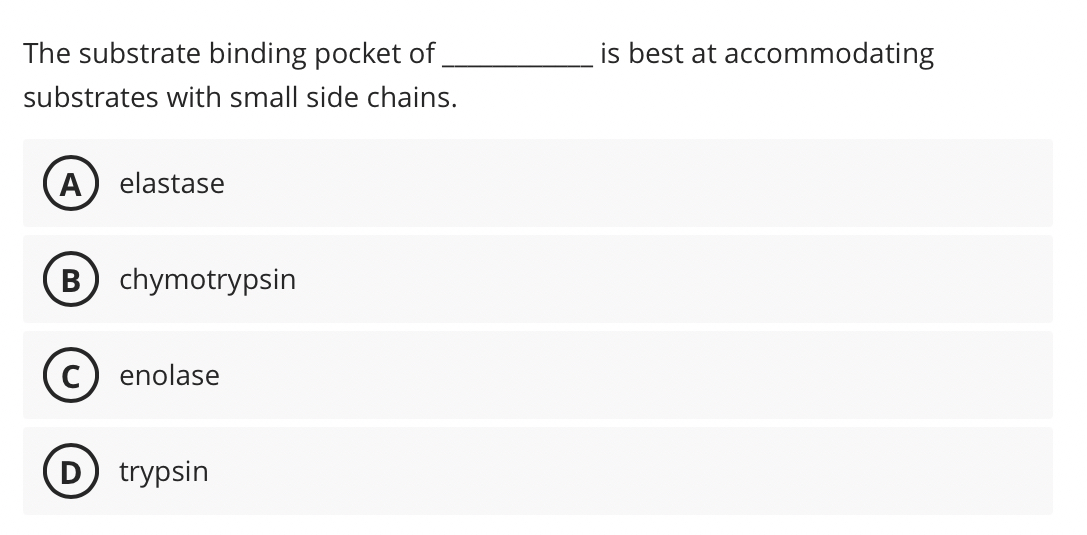 Solved The substrate binding pocket of ____ ﻿is best at | Chegg.com