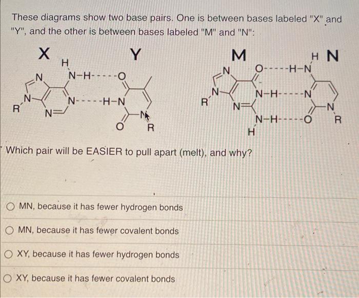Solved These diagrams show two base pairs. One is between | Chegg.com