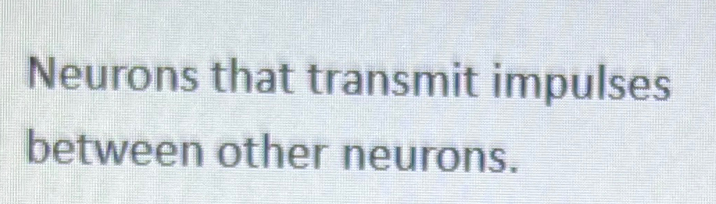 Solved Neurons that transmit impulses between other neurons. | Chegg.com