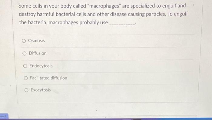 Solved Some cells in your body called "macrophages" are | Chegg.com