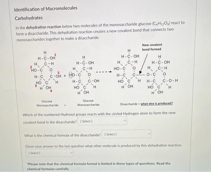 Solved Identification of Macromolecules Carbohydrates In the | Chegg.com