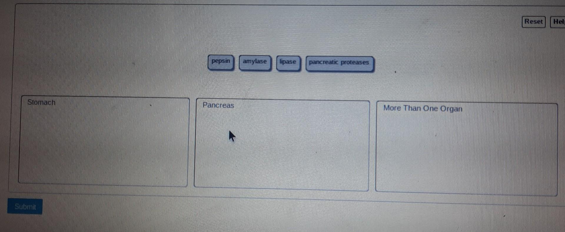 Solved More Than One Organ Submit. | Chegg.com