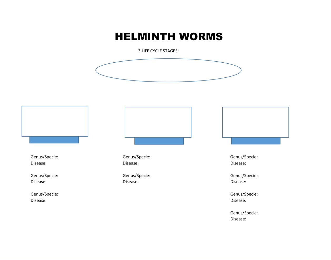 Solved HELMINTH WORMS3 ﻿LIFE CYCLE | Chegg.com
