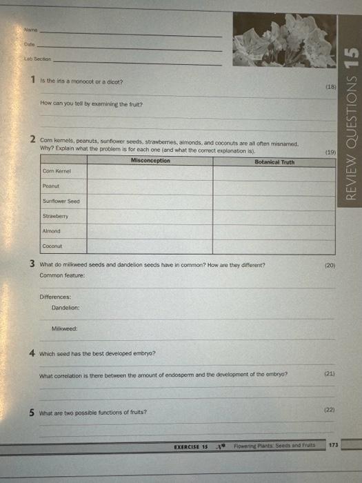 Solved Name Date Lab Section 1 Is the iris a monocot or a | Chegg.com