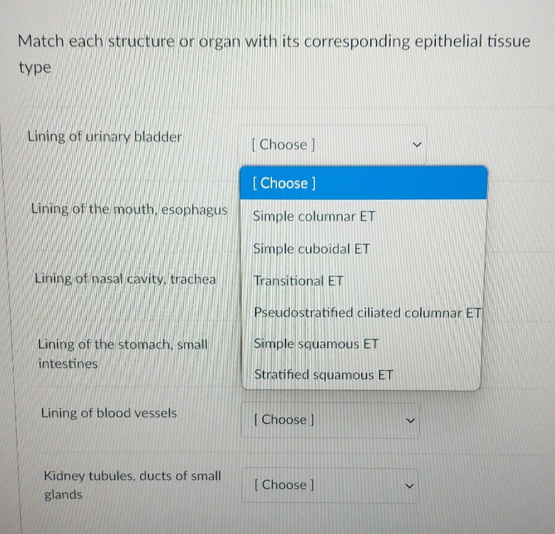 Solved Match each structure or organ with its corresponding | Chegg.com