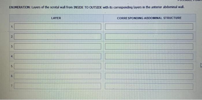 Solved ENUMERATION: Layers of the scrotal wall from INSIDE | Chegg.com