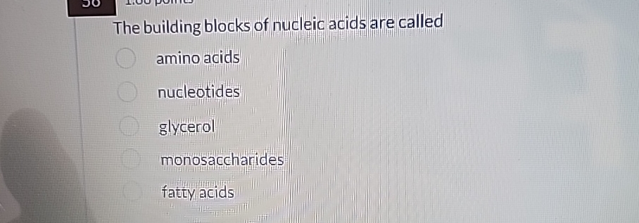 Solved The building blocks of nucleic acids are calledamino | Chegg.com