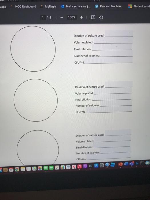laps HCC Dashboard MyEagle o Mail - schwanna. P | Chegg.com