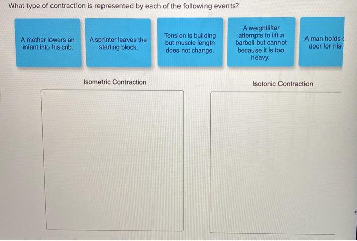 Solved What type of contraction is represented by each of | Chegg.com