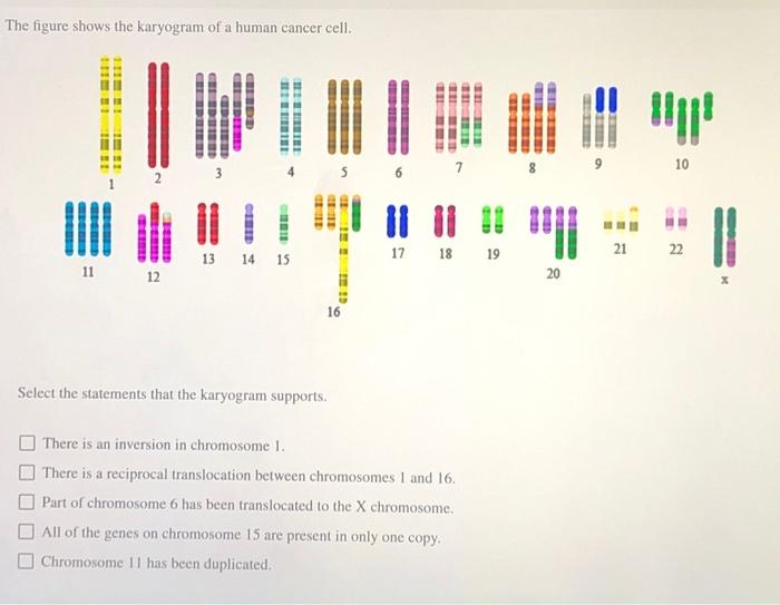 Solved The figure shows the karyogram of a human cancer | Chegg.com
