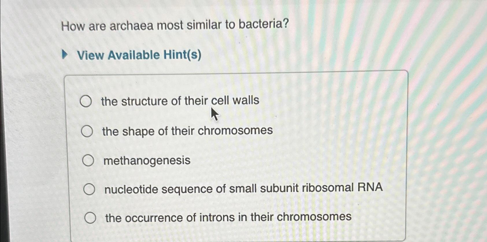 Solved How are archaea most similar to bacteria?View | Chegg.com