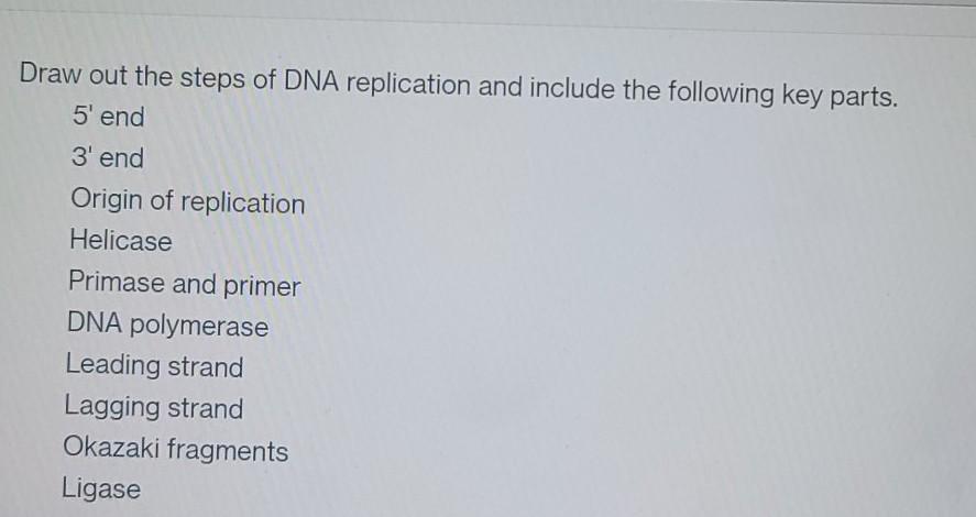 Solved Draw out the steps of DNA replication and include the | Chegg.com