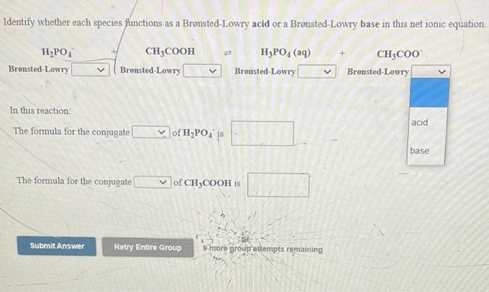 Solved Identify whether each species functions as a | Chegg.com Solved Identify whether each species functions as a | Chegg.com