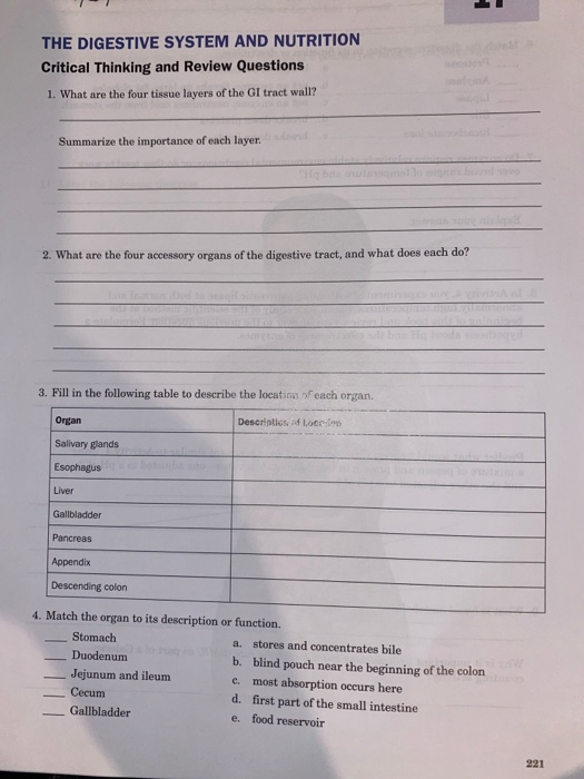 Solved THE DIGESTIVE SYSTEM AND NUTRITION Critical Thinking | Chegg.com