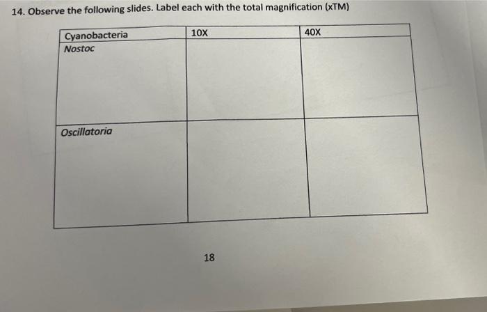 Solved 14. Observe the following slides. Label each with the | Chegg.com