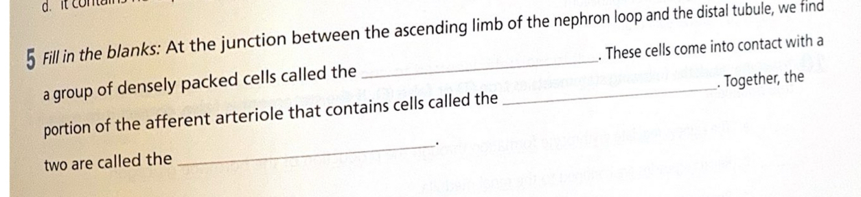 Solved 5 ﻿Fill in the blanks: At the junction between the | Chegg.com