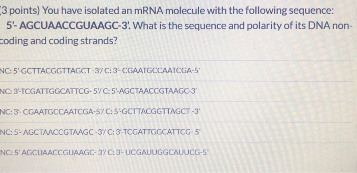Solved 3 points) You have isolated an mRNA molecule with the | Chegg.com