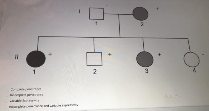 Solved 1 2 + II 1 N 3 4 Complete penetrance Incomplete | Chegg.com