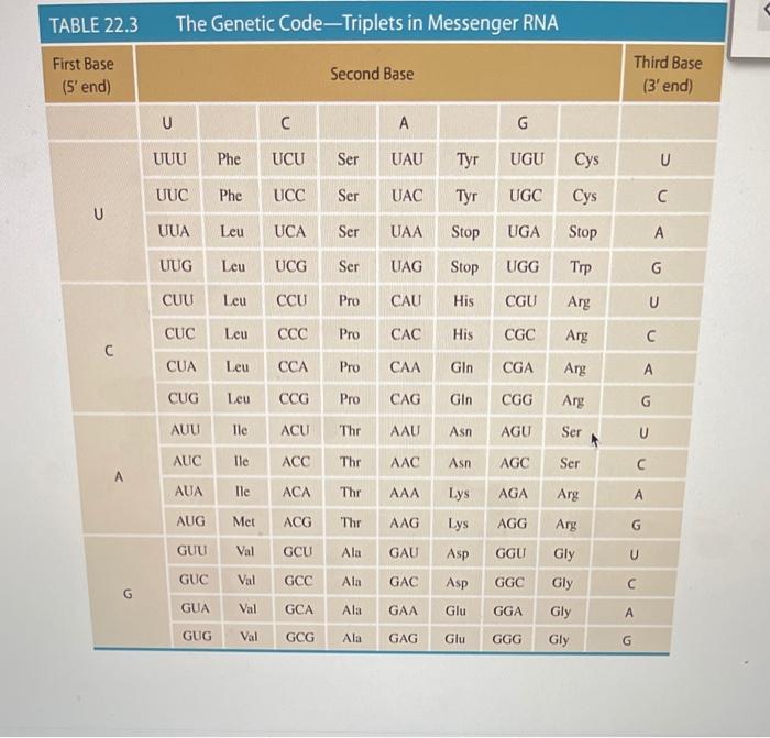 Solved Write a possible mRNA sequence that codes for each | Chegg.com